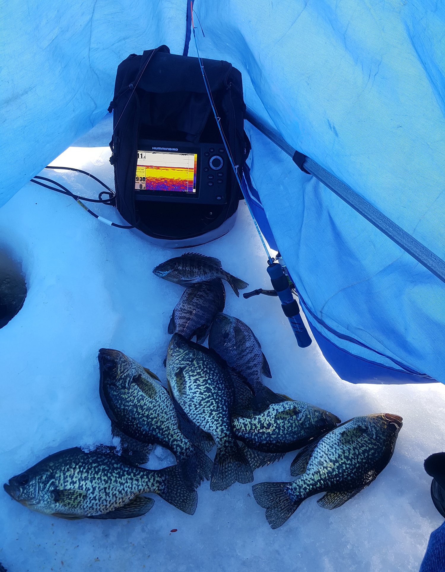 3rd Alarm Charters | Charter Fishing | Vermont & New York