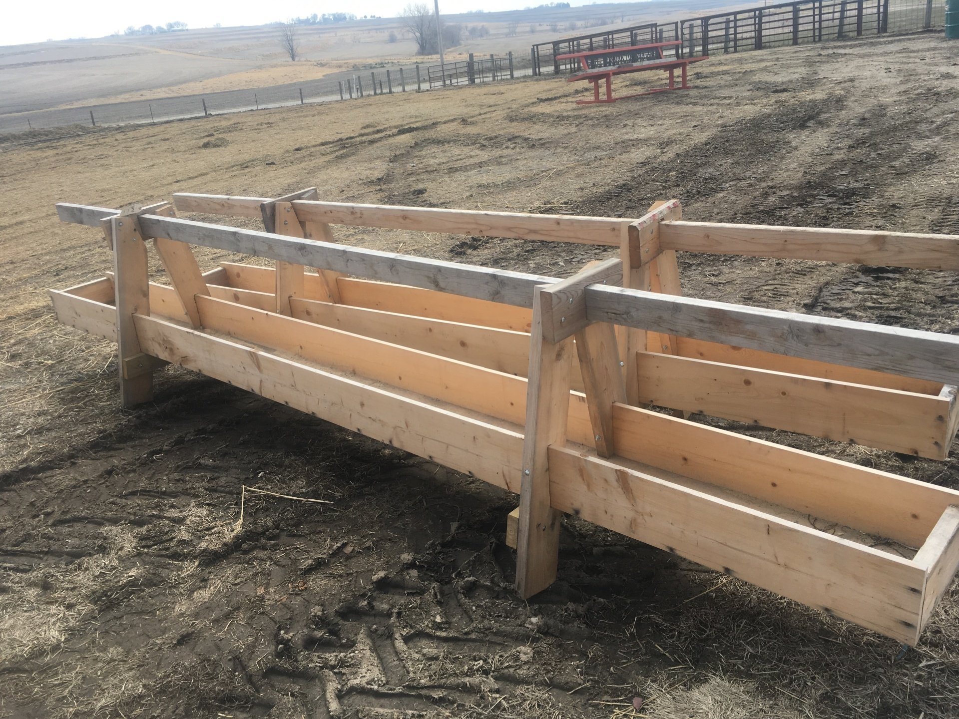 Weekly Livestock Listings | Calving Cow | Red Oak, IA