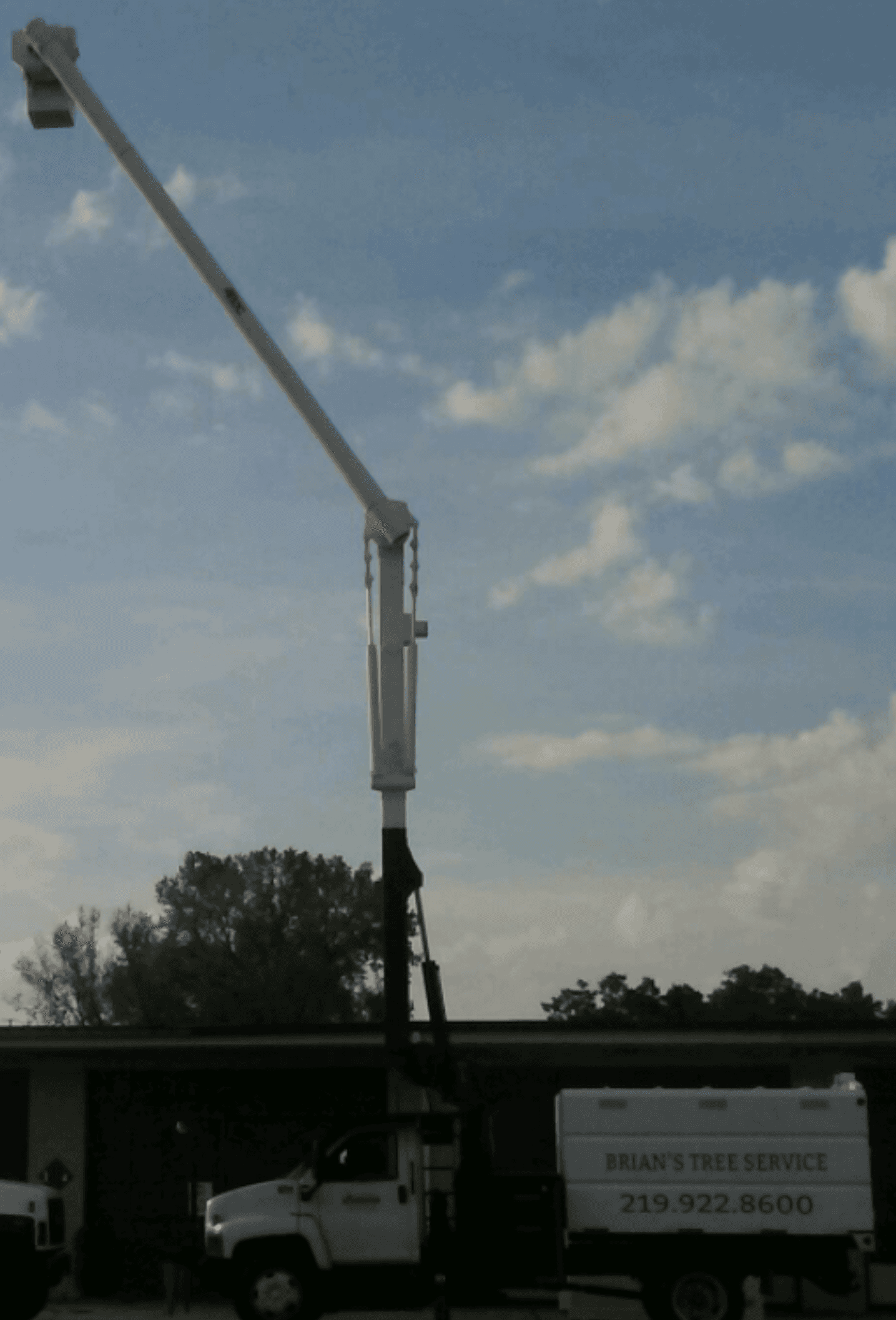 Contact Brian's Tree Service Lake County | 219-922-8600