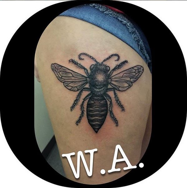 Studio 54 Tattoo & Piercings Will Anders Photo Gallery Lutz