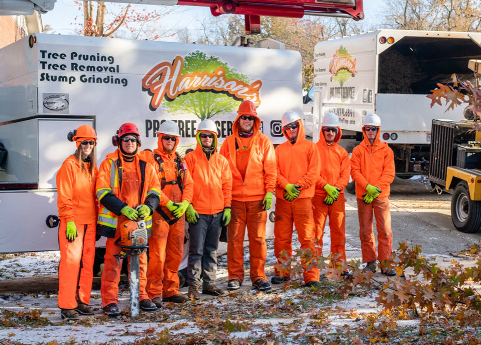 About Harrison's Pro Tree Service | Franklin, OH Tree Health