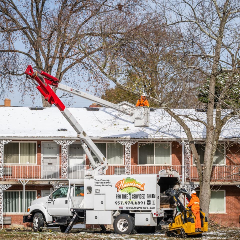 Harrison's Pro Tree Service | Tree Care | Franklin, OH