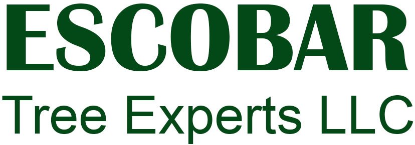 Escobar Tree Experts LLC | Tree Removal | Bowie MD