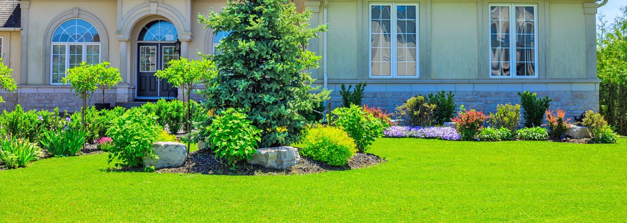 Landscape & Forestry Services | Custom Mulch | Judsonia, AR