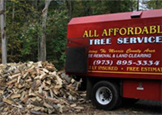 All Affordable Tree Service | Firewood | Randolph, NJ