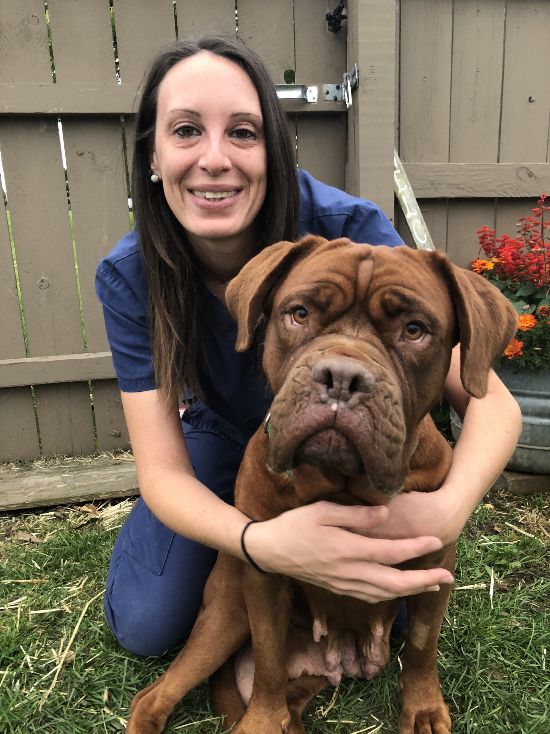 About the Team at Bethany Animal Hospital Sycamore Veterinarians