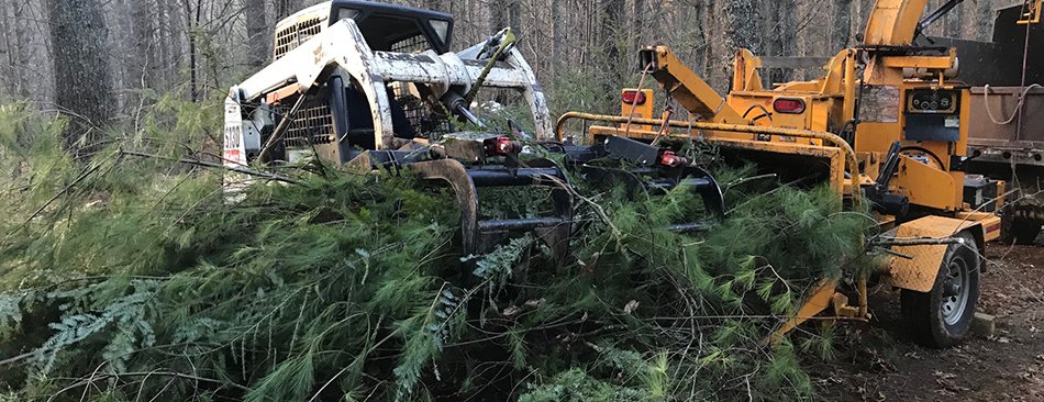 Brush Removal and Lot Clearing Boone Banner Elk Spruce Pine NC