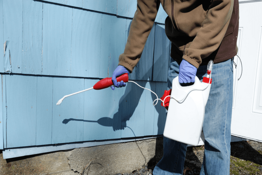 Real Kill Termite & Pest Control LLC | Pest Control Waynesboro