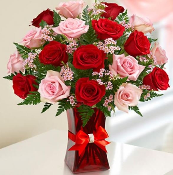 Specialty Roses | Ecuadorian Roses | Murrieta, CA