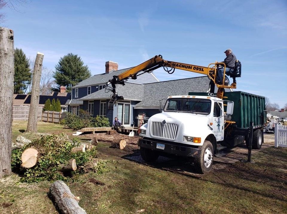 Advanced Tree Service | Tree Maintenance | Wethersfield, CT