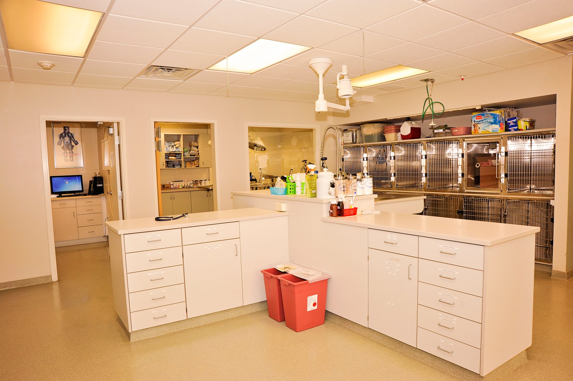 Wickford Veterinary Clinic Photo Gallery North Kingstown RI