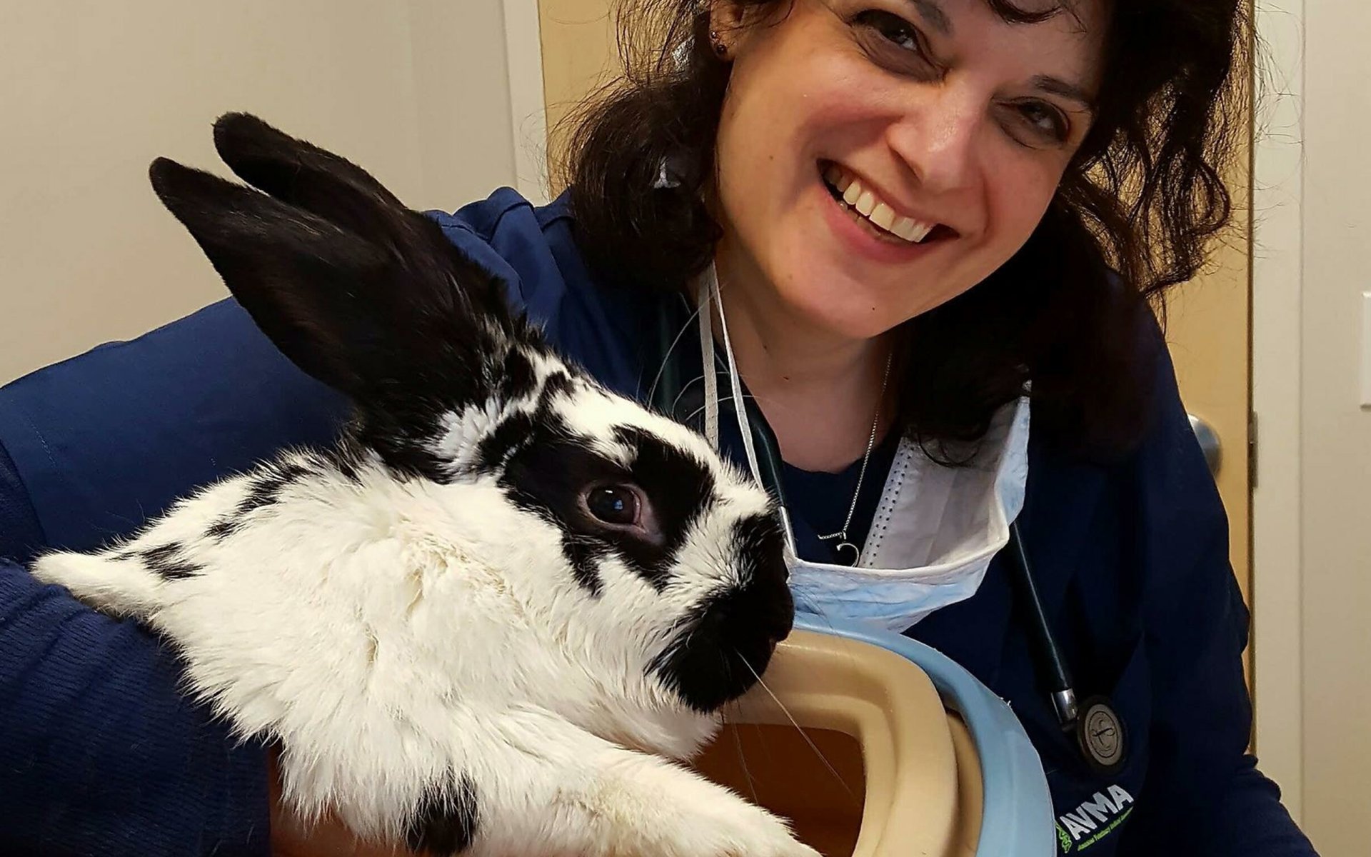 Wickford Veterinary Clinic | Veterinarian North Kingstown RI