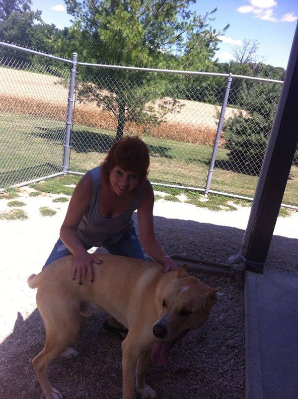 County Line Kennels Boarding & Grooming Photo Gallery Andrews