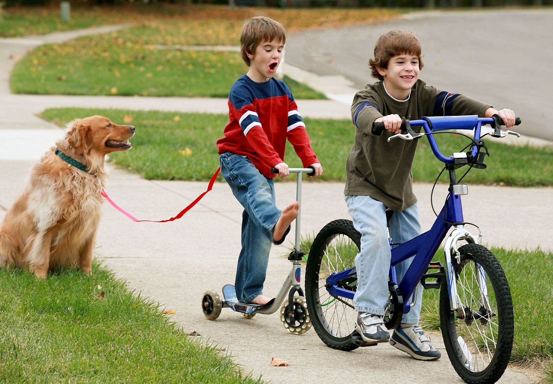Sidewalk Lifting | Sidewalk Leveling | Richmond, TX