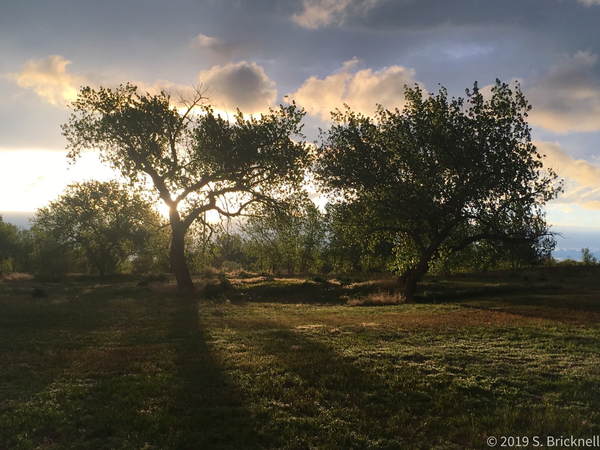 Silver Spur Campground | Working Camp | Fort Morgan, CO
