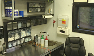 Moonlight Tattoo – Custom Tattoo Shop – Body Piercings | Franklin, NJ