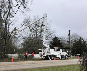 C & M Tree Service | Tree Services | Longview, TX