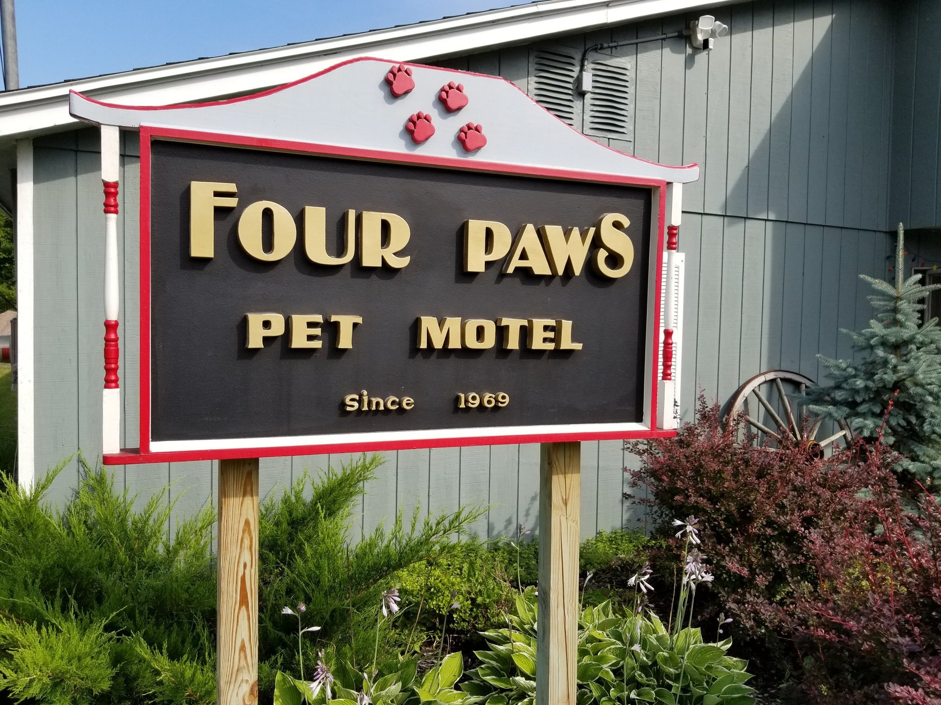 Four Paws Pet Motel Photo Gallery | Dexter, NY