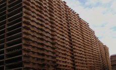 Viking Pallet Corporation | Pallets | Osseo, MN