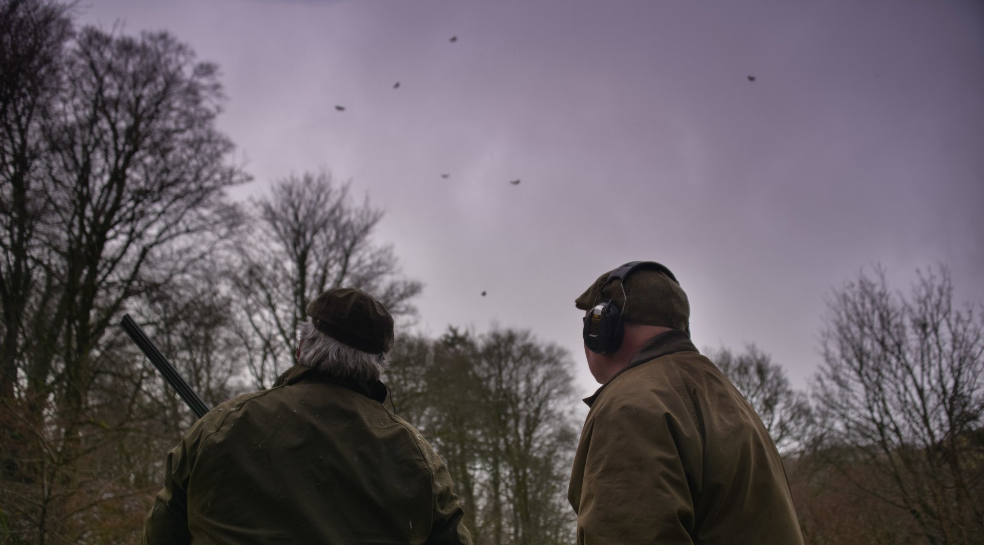 Scotland Driven Pheasant Hunts | Mitchell, SD
