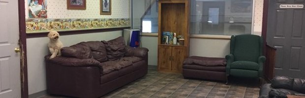 Red Dog Inn and Resort Reservation Forms | Mansfield, MA