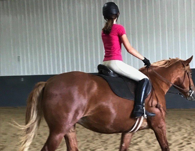 Pine Ridge Riding Center LLC | Horse Riding | Slinger, WI