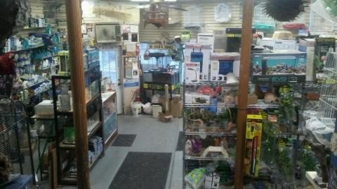 Big Fish Little Fish Pet Store | Pet Shop | Somerville, MA