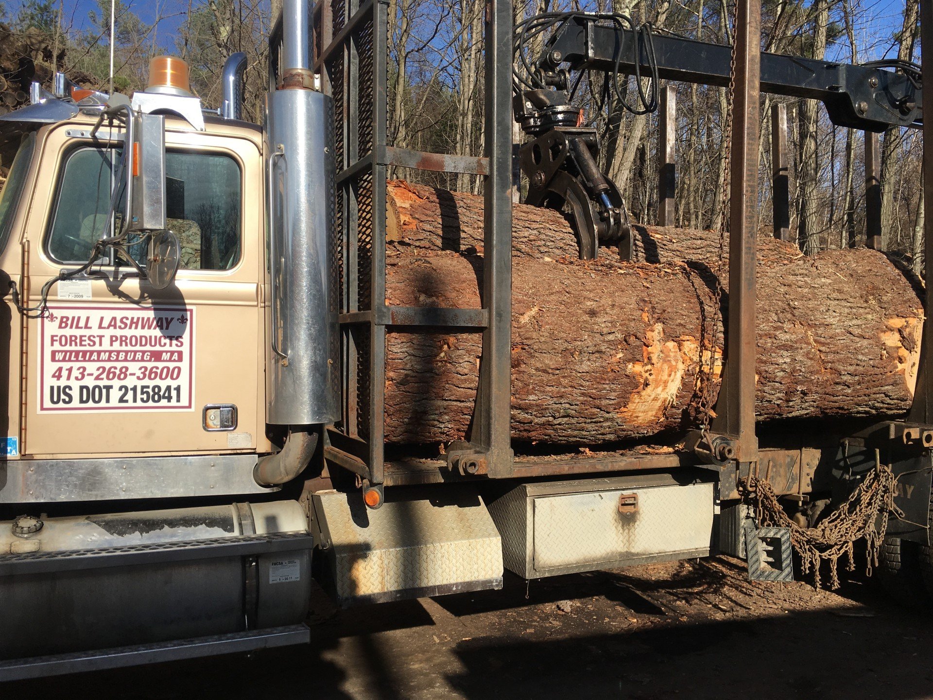 Lashway Forest Products | Timber | Haydenville, MA