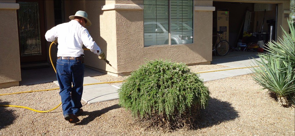 North Phoenix Pest Control Company - Anthem, New River, Carefree and ...
