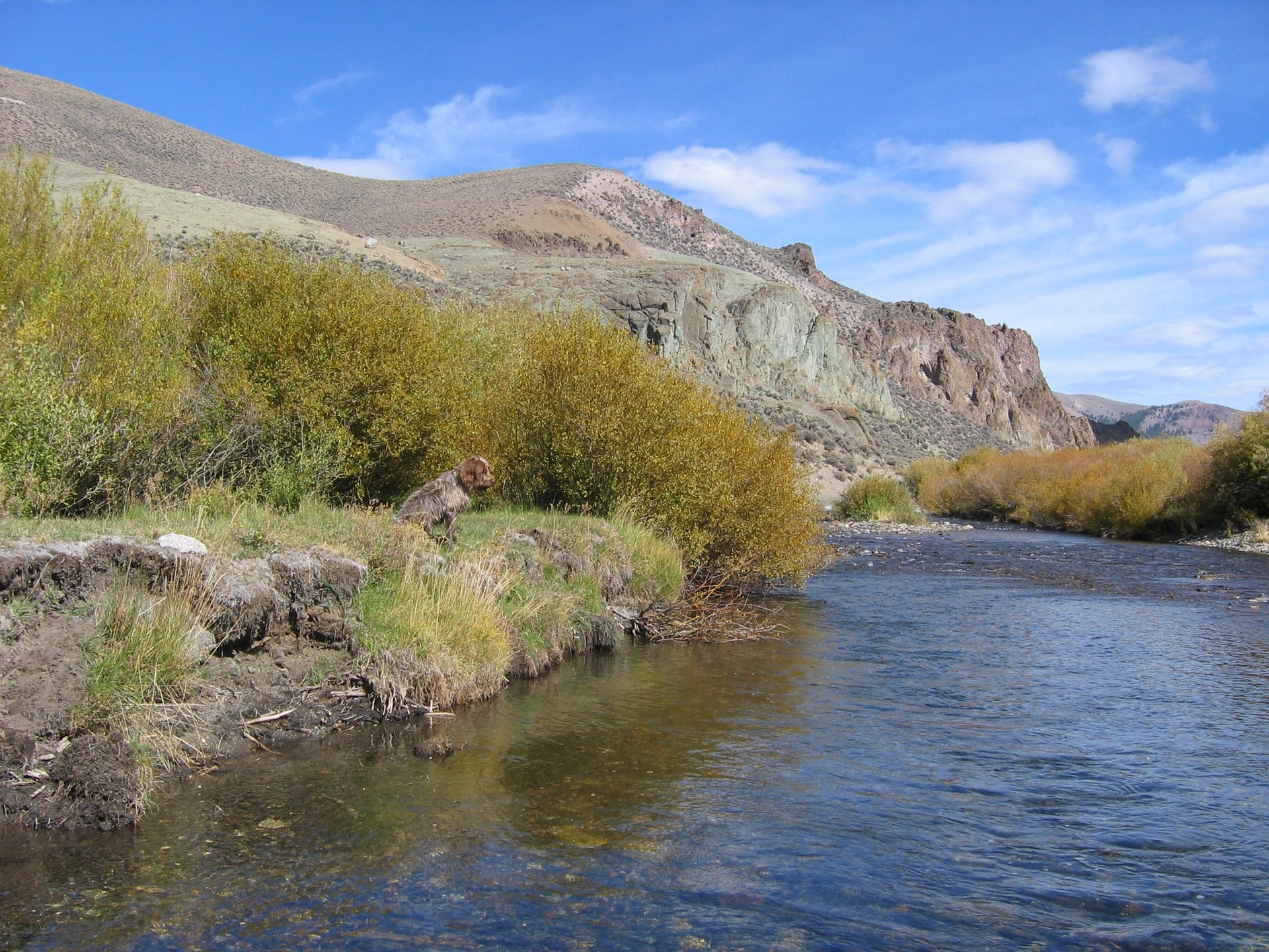 The Big Lost River Fishing | Guided Fishing Trips Ketchum ID