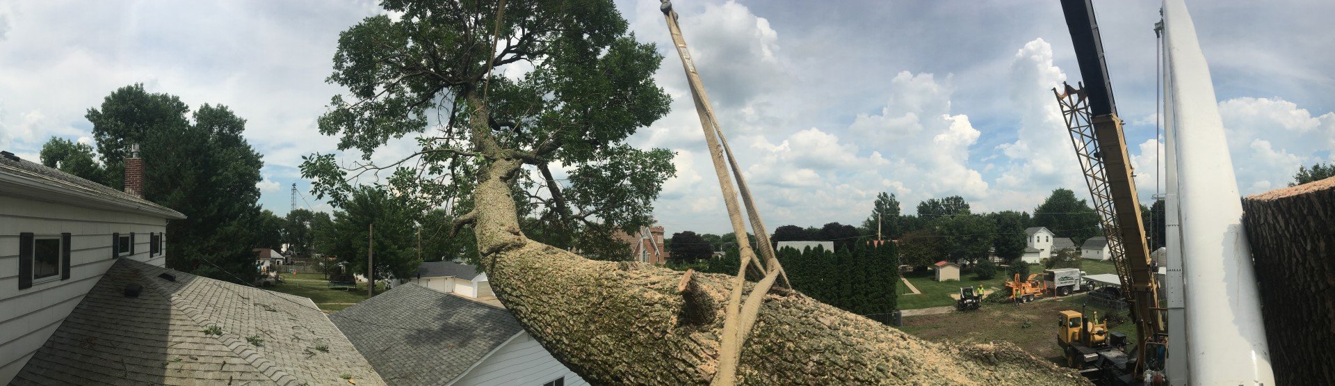 Cy's Tree Service Photo Gallery | Anamosa, IA