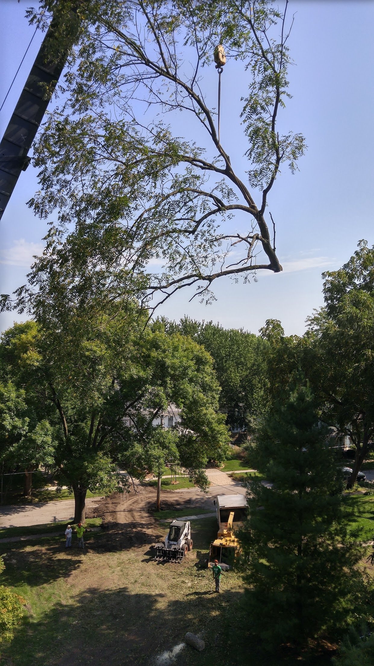 Cy's Tree Service Photo Gallery | Anamosa, IA