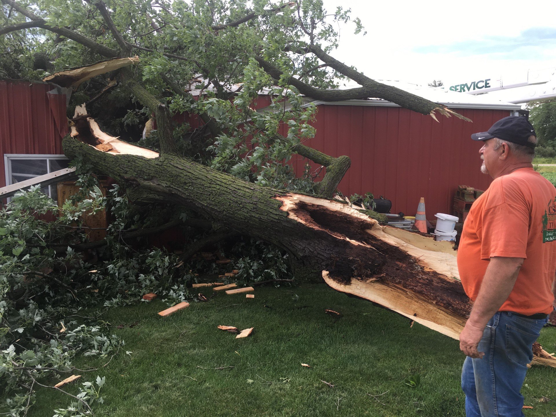 Cy's Tree Service Photo Gallery | Anamosa, IA