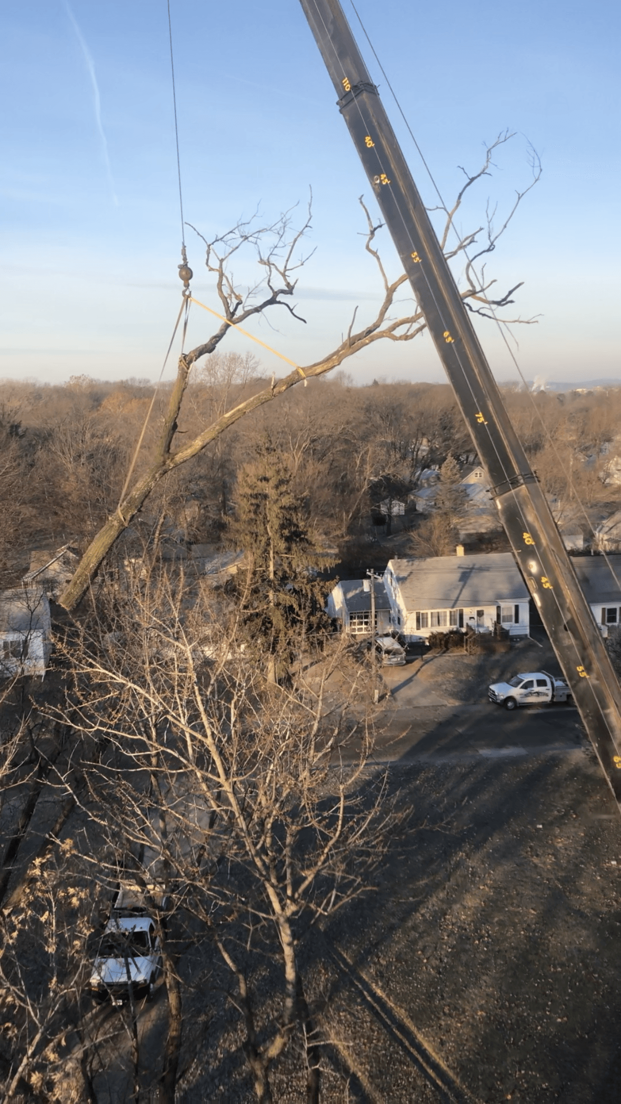 Cy's Tree Service Photo Gallery | Anamosa, IA