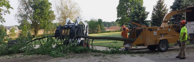 Tree Care | Tree Service | Anamosa, IA