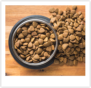 Quinlan Animal Clinic P.C. | Veterinary Service | Quinlan TX