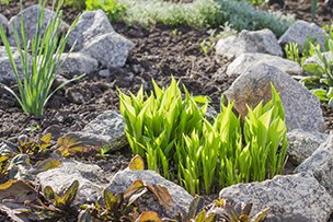 Northstar Stone & Landscape Supply | Bellingham, WA