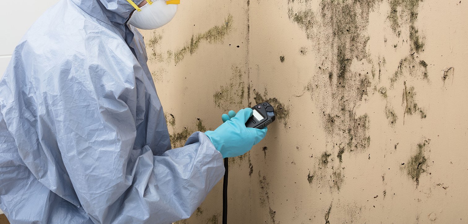 E & F Environmental | Asbestos Removal | Mold Removal | Massachusetts