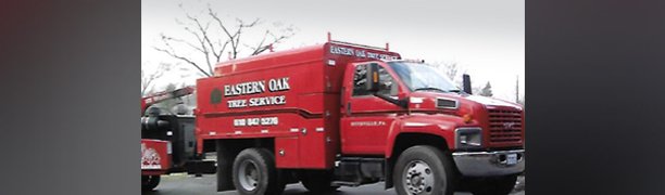 Eastern Oak Tree Service Why Choose Eastern Oak Ottsville PA