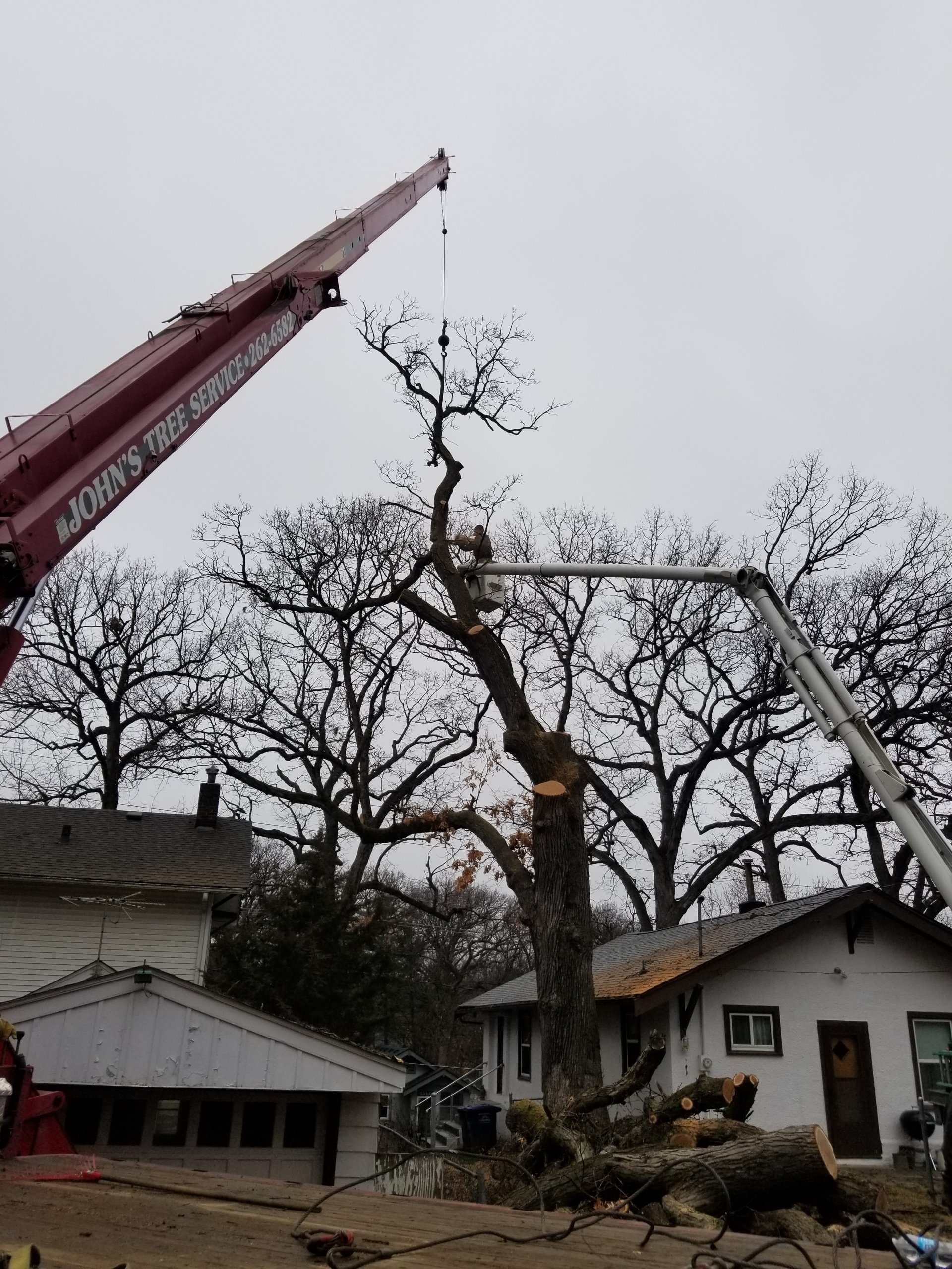 John's Tree Service | Storm Cleanup | Des Moines, IA