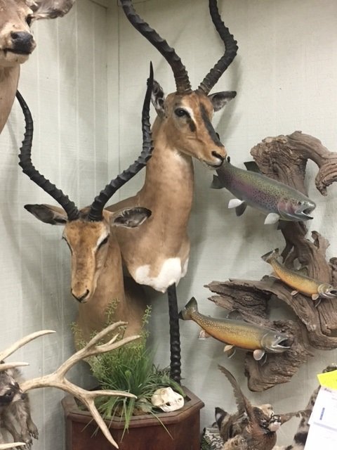 Uvalde Meat Market & Processing Wild Game Processing Menu Uvalde