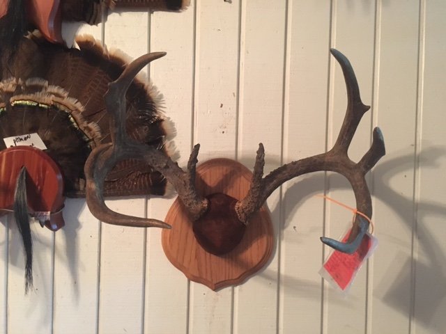 Uvalde Meat Market & Processing Wild Game Processing Menu Uvalde