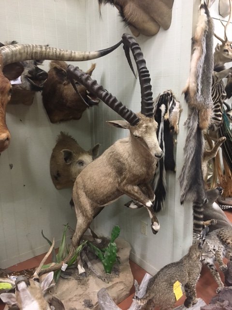 Uvalde Meat Market & Processing Wild Game Processing Menu Uvalde