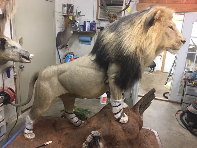 Uvalde Meat Market & Processing Wild Game Processing Menu Uvalde