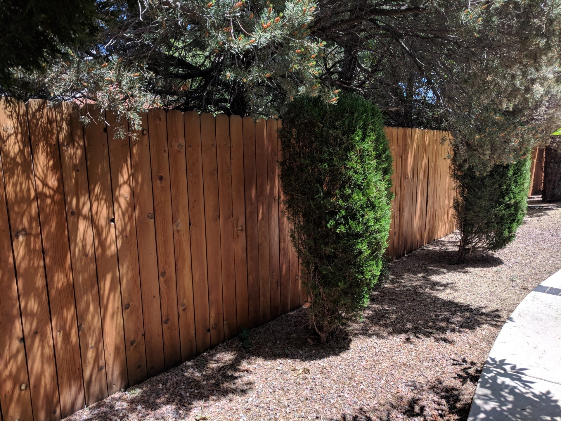 Alpine Fence Inc | Construction | Colorado Springs, CO