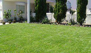 Andres Landscape - Landscaping Services | Santa Cruz, CA