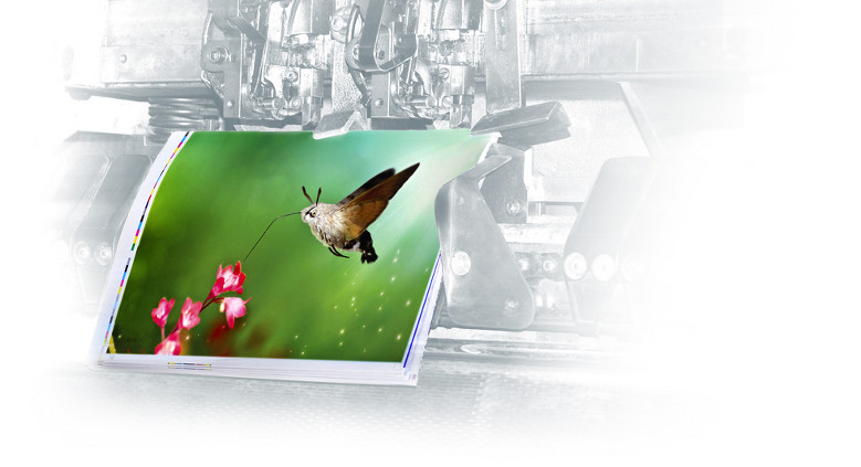 Perris Valley Printing Company – Printer | Homeland, CA