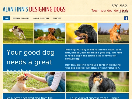 Alan Finn's Designing Dogs - Dog Trainer | Old Forge PA