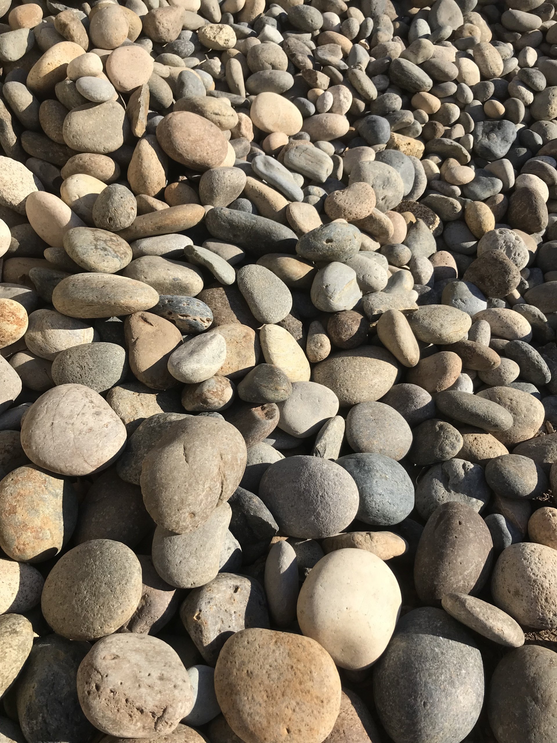 Cascade Rock Inc Sand and Gravel Gallery | Sacramento, CA