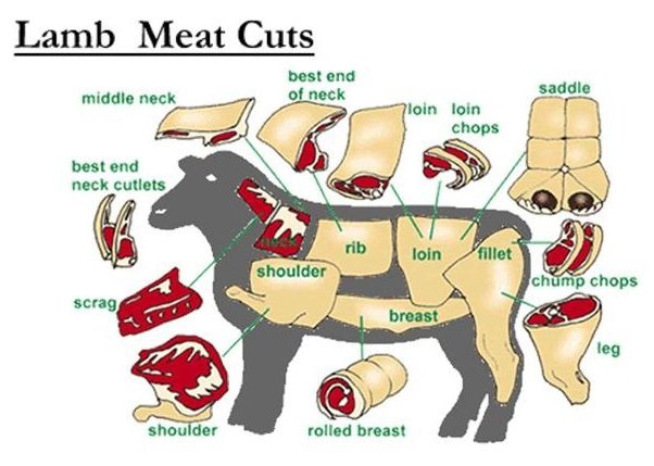 Lamb Processing | Lamb Cuts | Amery, WI